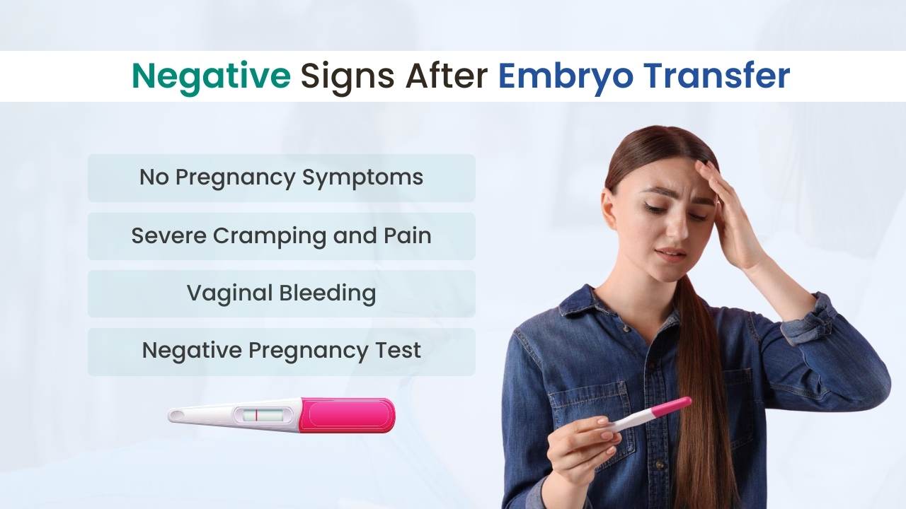 Day 3 After Embryo Transfer | A Guide to IVF
