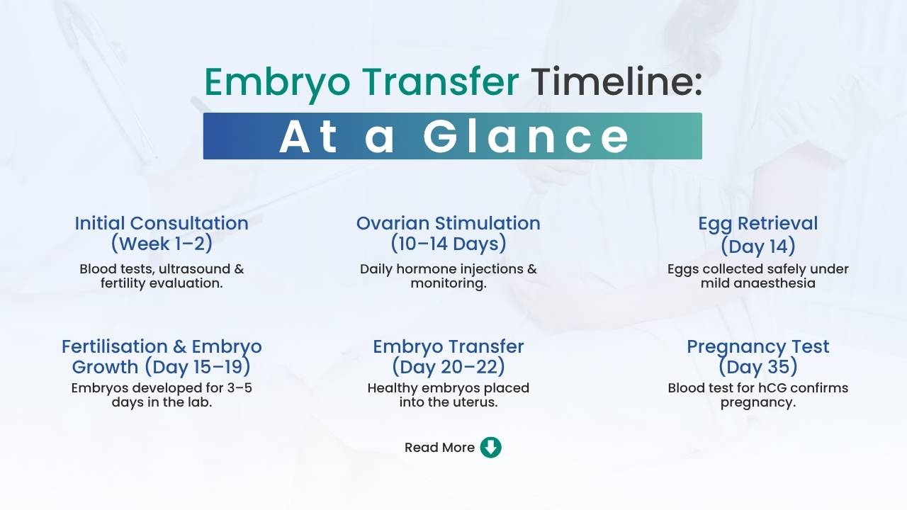 Embryo Transfer Timeline | Process, Timeline and advantages