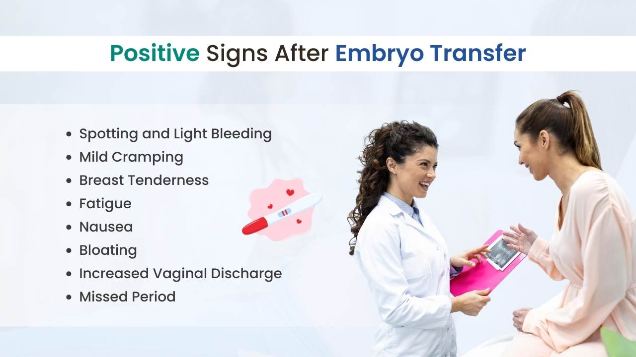 Day 3 After Embryo Transfer | A Guide to IVF